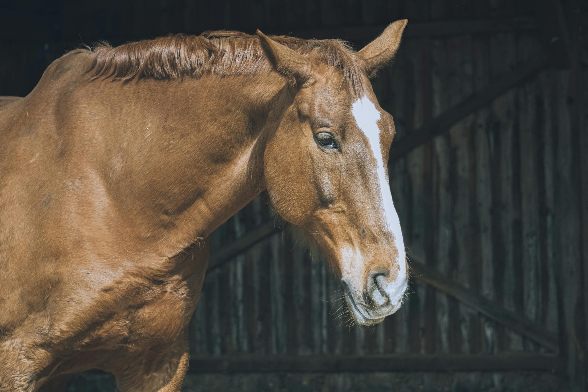 PATH International - Standards, Certification, and Accreditation