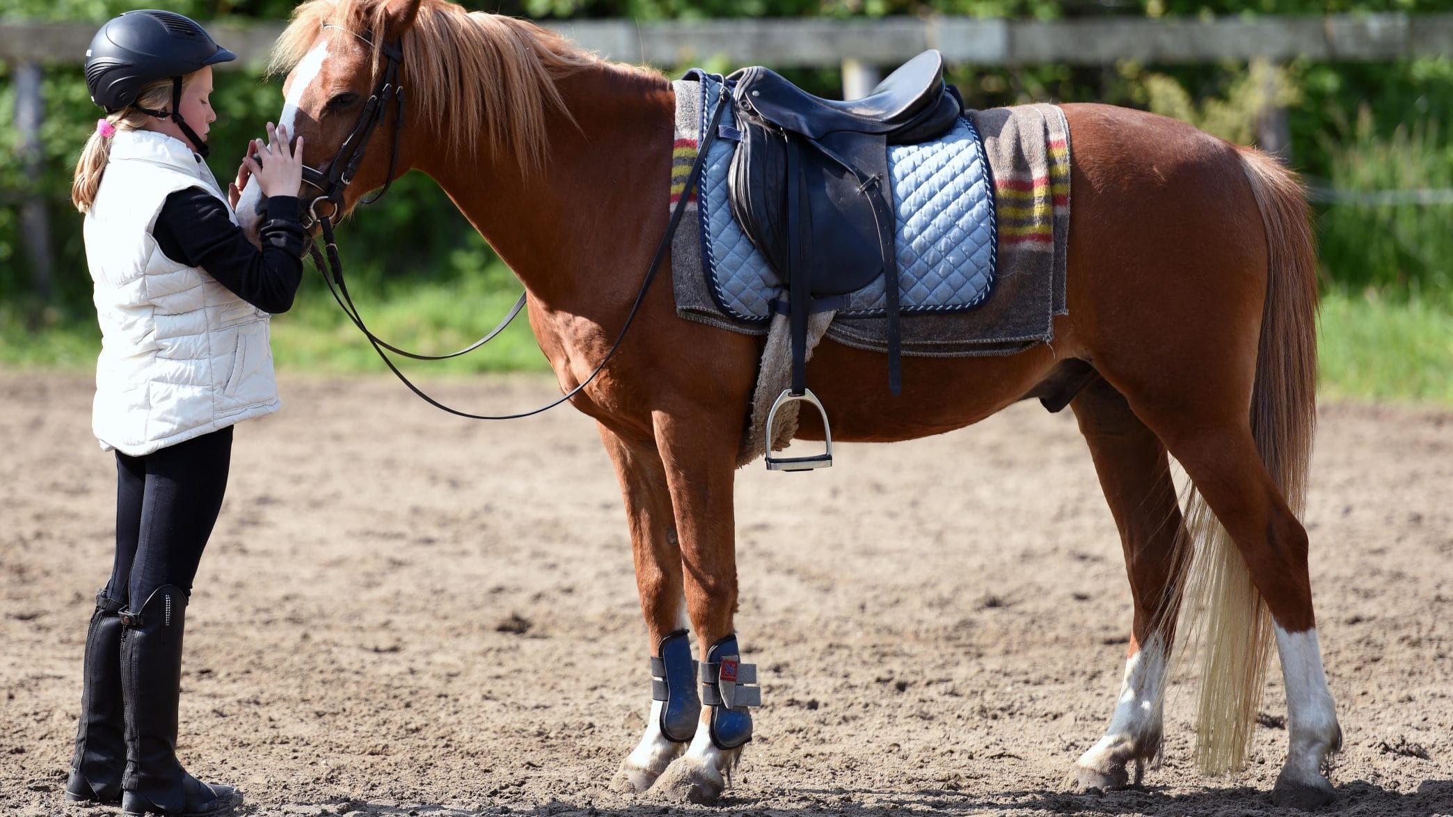 American Hippotherapy Association Overview - Mission and Role