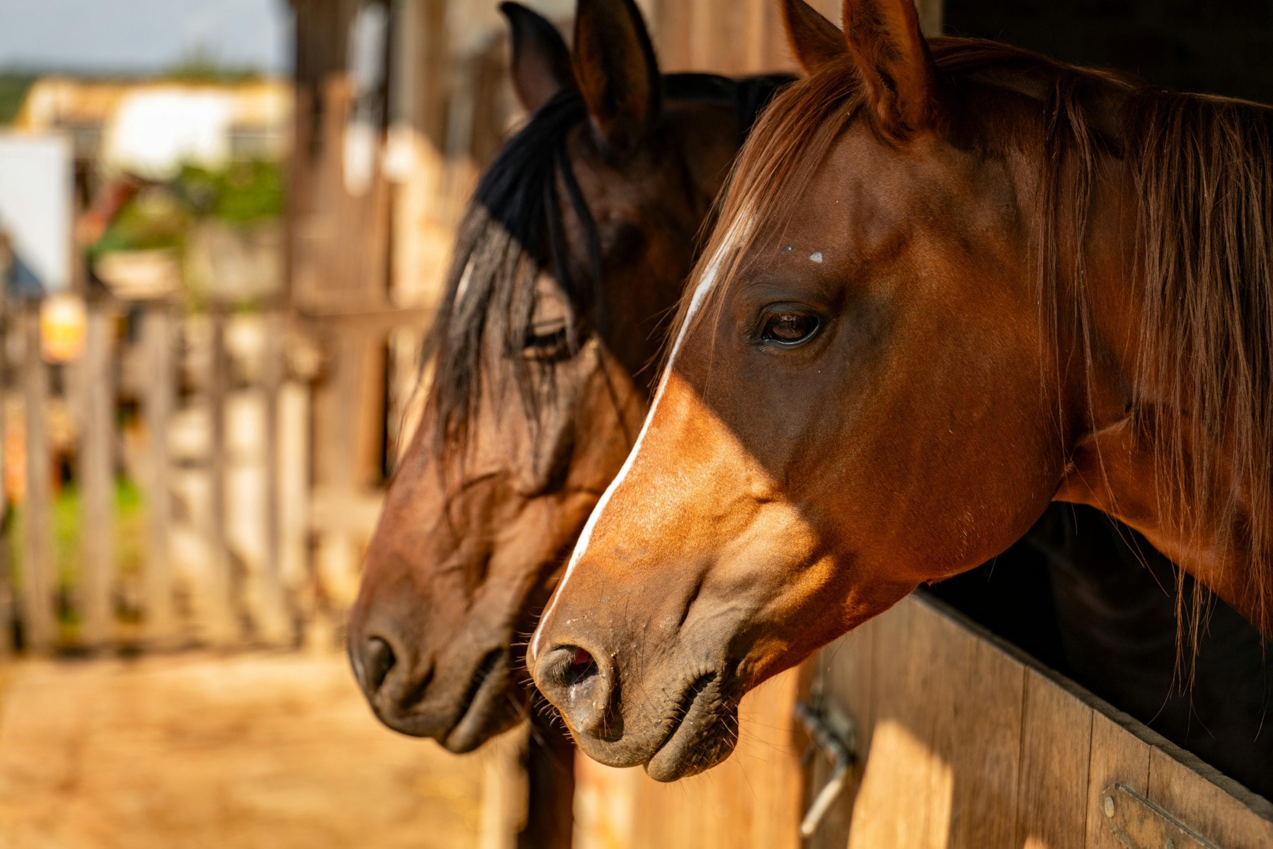 PATH International - Standards, Certification, and Accreditation